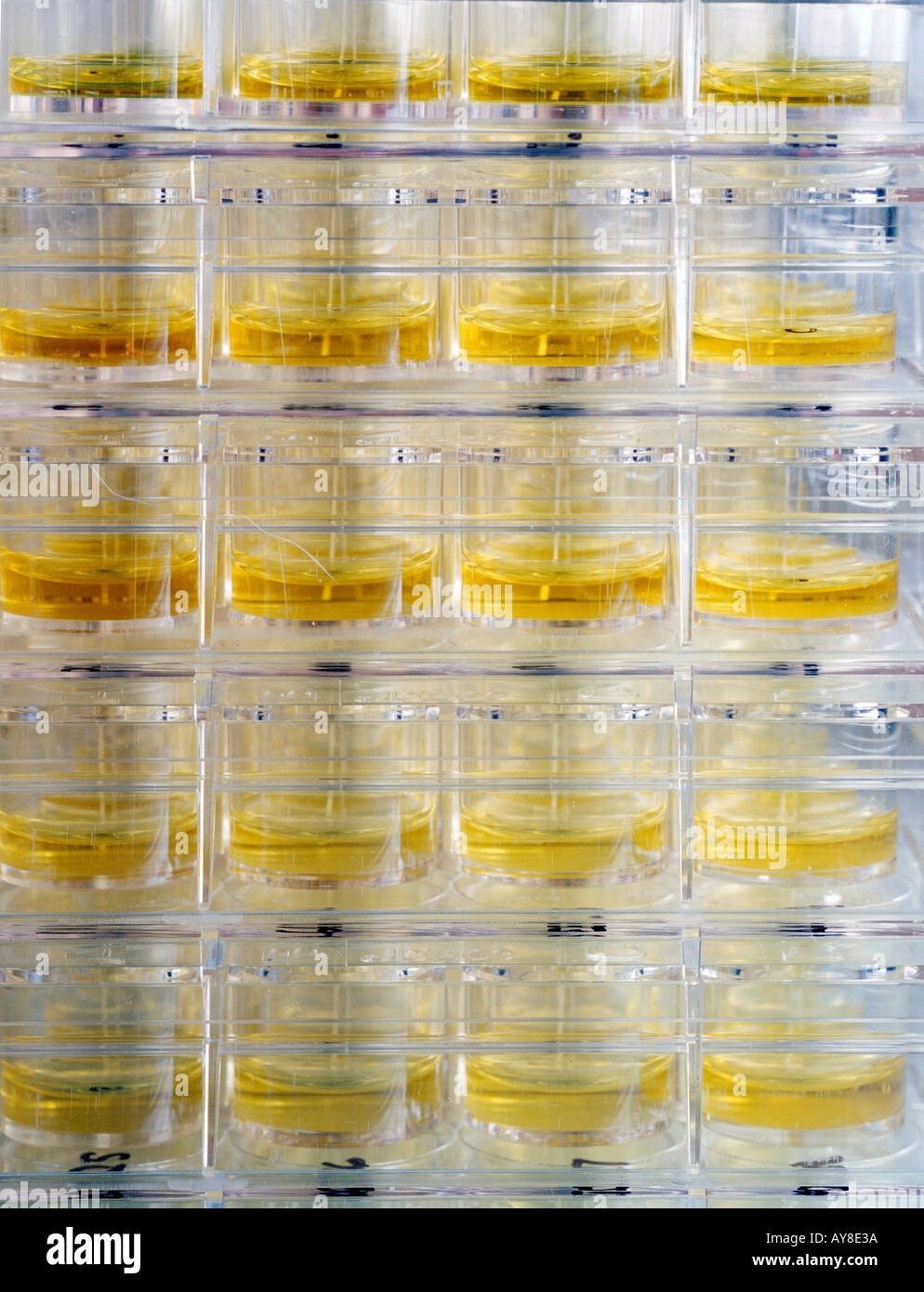 Testing in progress hi-res stock photography and images - Alamy