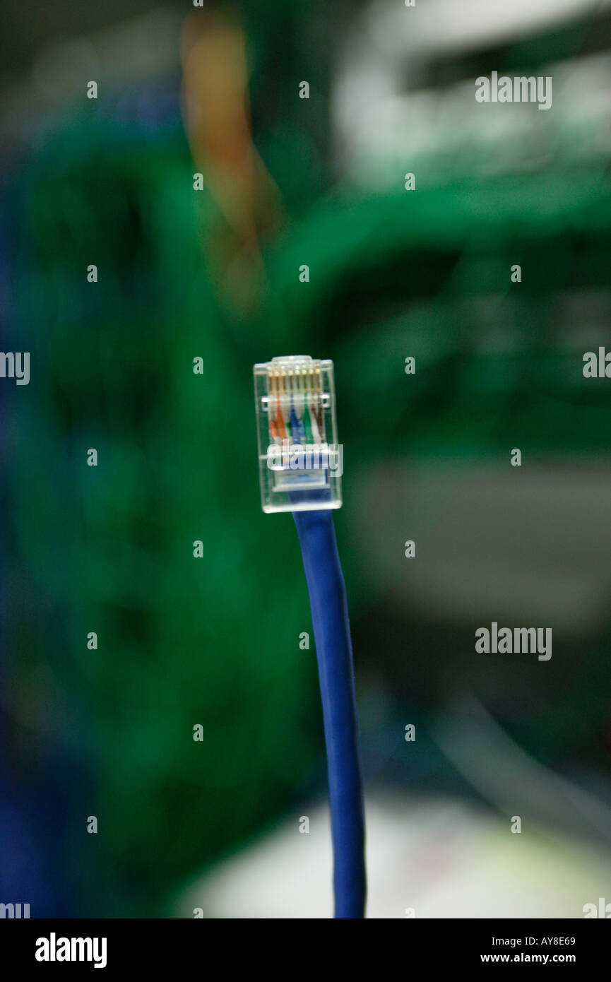 Ethernet communications cable in corporate server room Stock Photo - Alamy