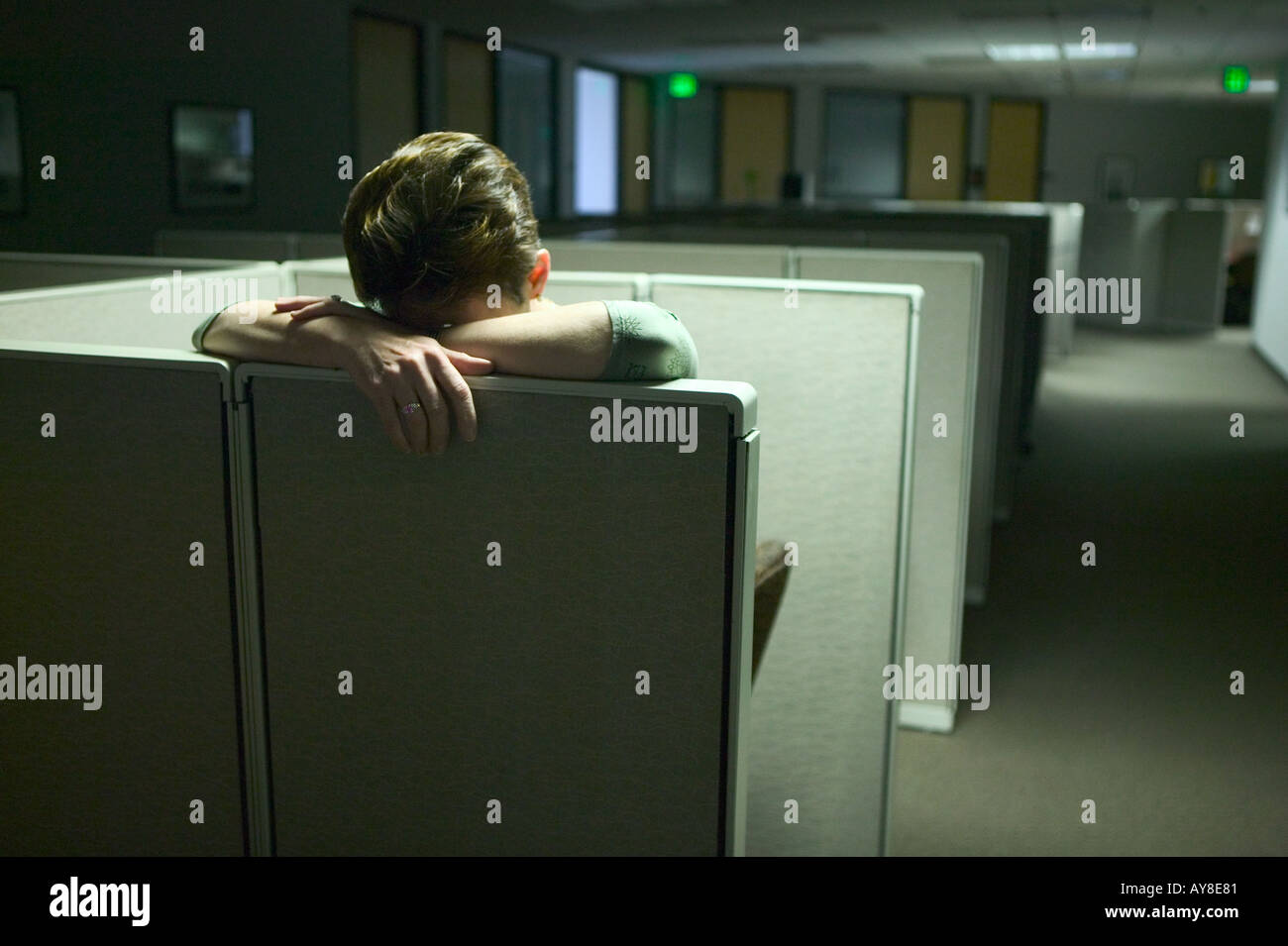 Overworked female employee rests head on small cubicle wall after ...