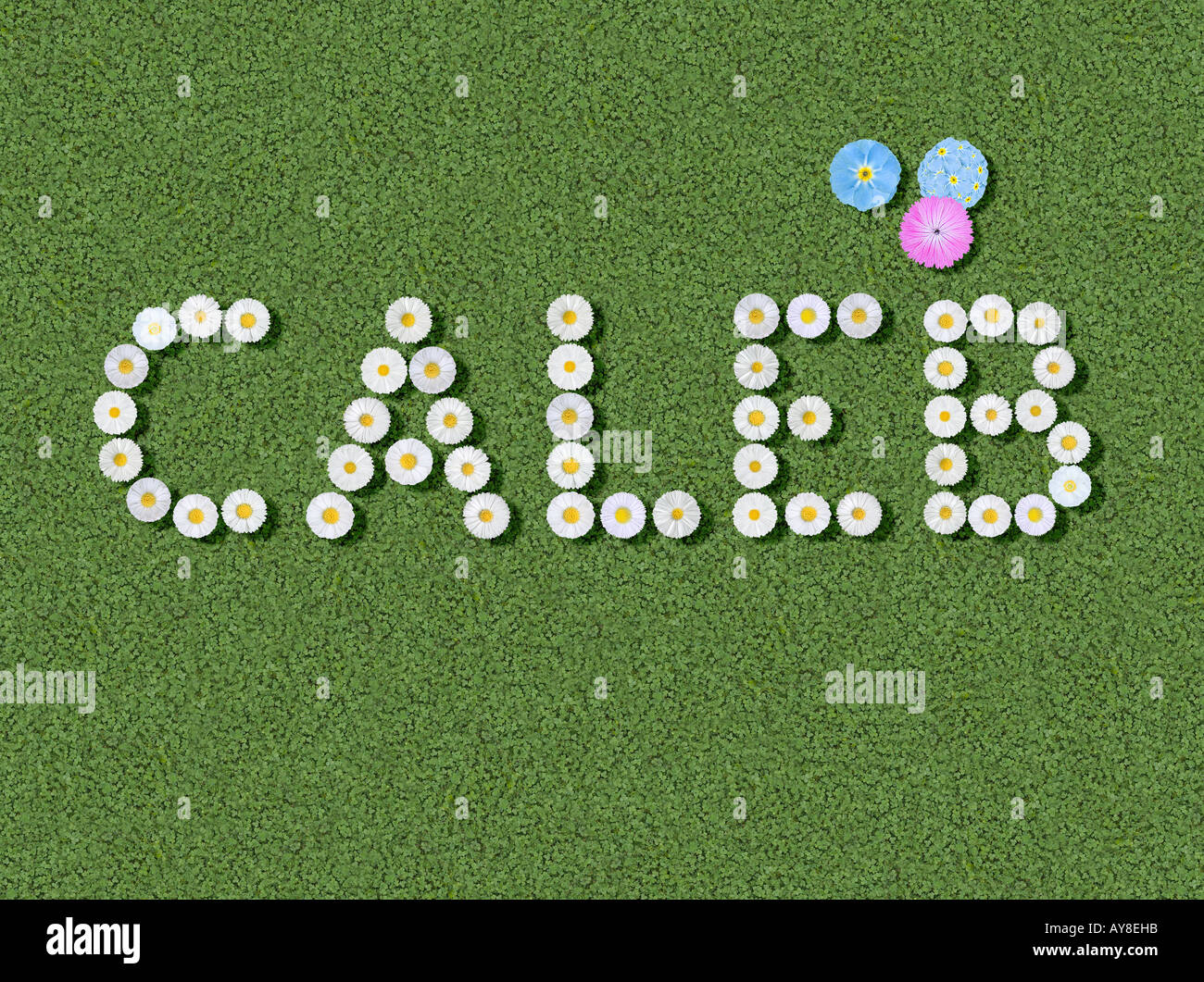 Caleb name hi-res stock photography and images - Alamy