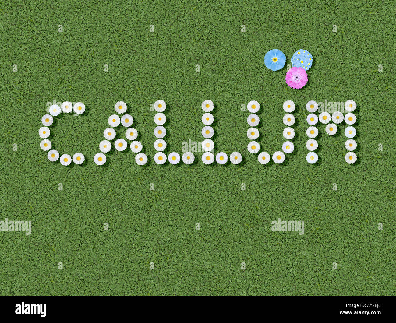 Boy callum hi-res stock photography and images - Alamy