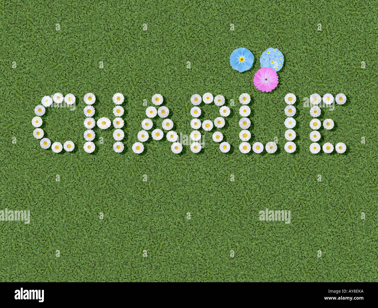 Charlie christian hi-res stock photography and images - Alamy