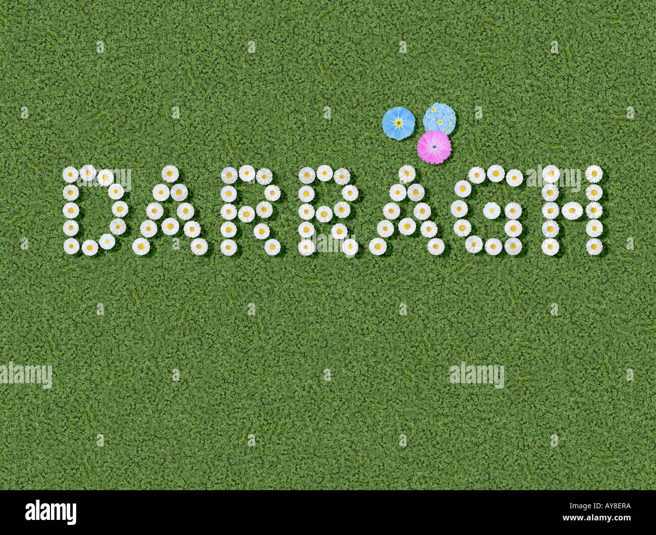 forename Darragh written first name boy baby newborn Stock Photo - Alamy