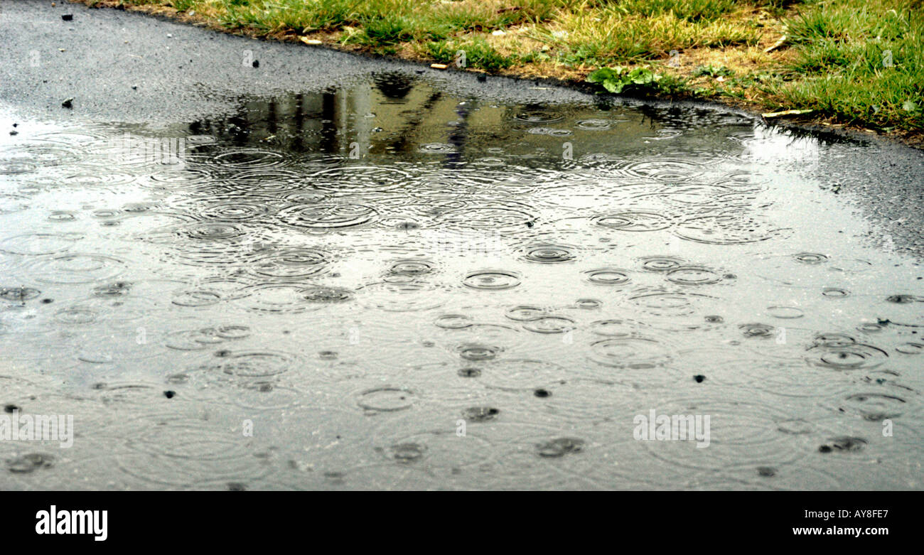 Puddle grass hi-res stock photography and images - Alamy