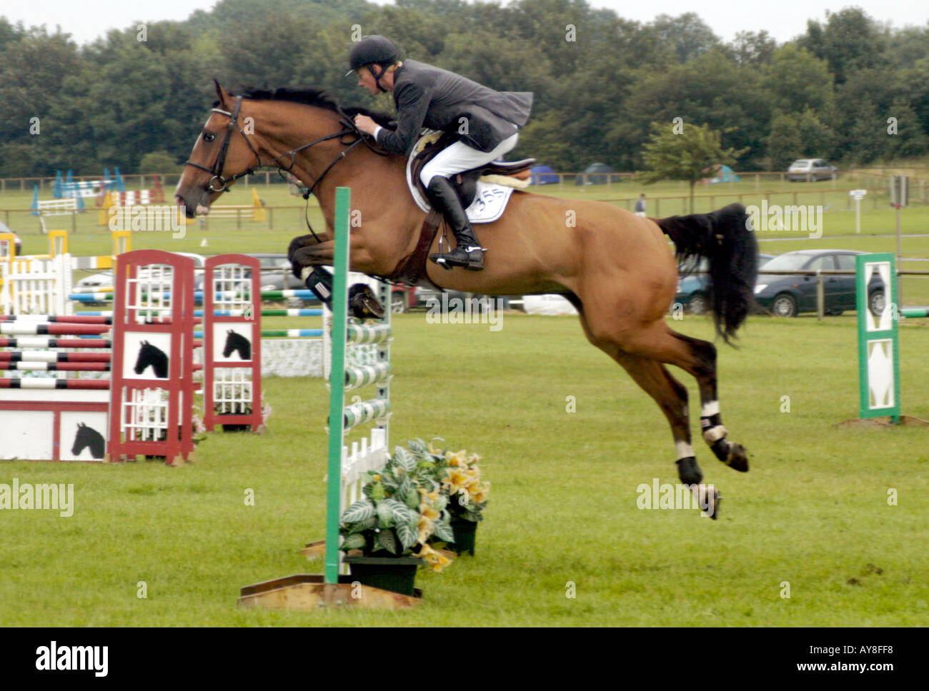 Horse and rider jumping fences Stock Photo - Alamy
