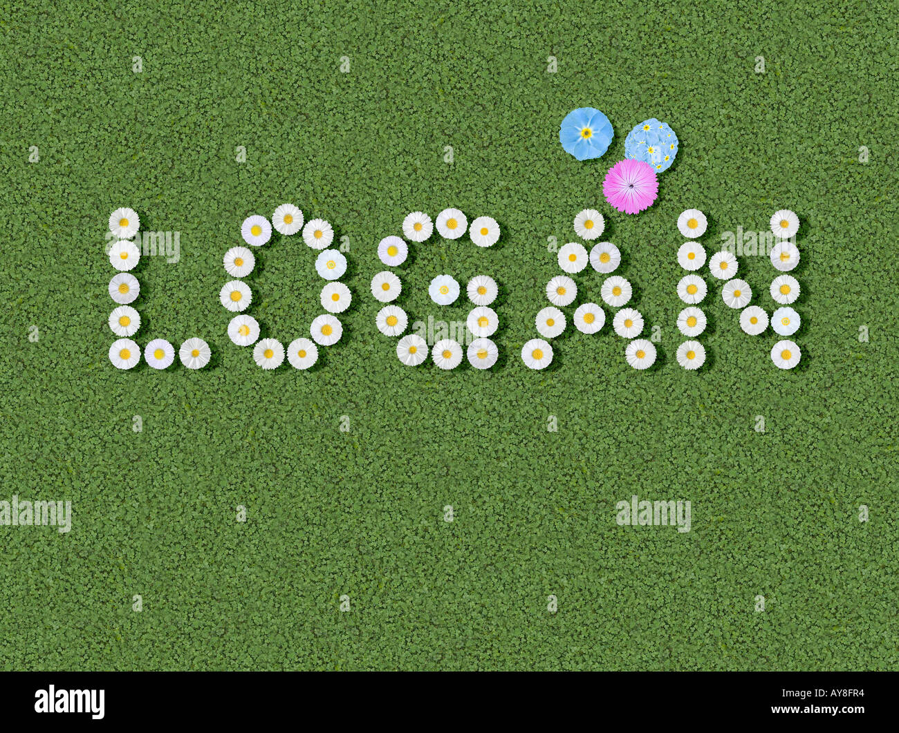 Boy logan hi-res stock photography and images - Alamy