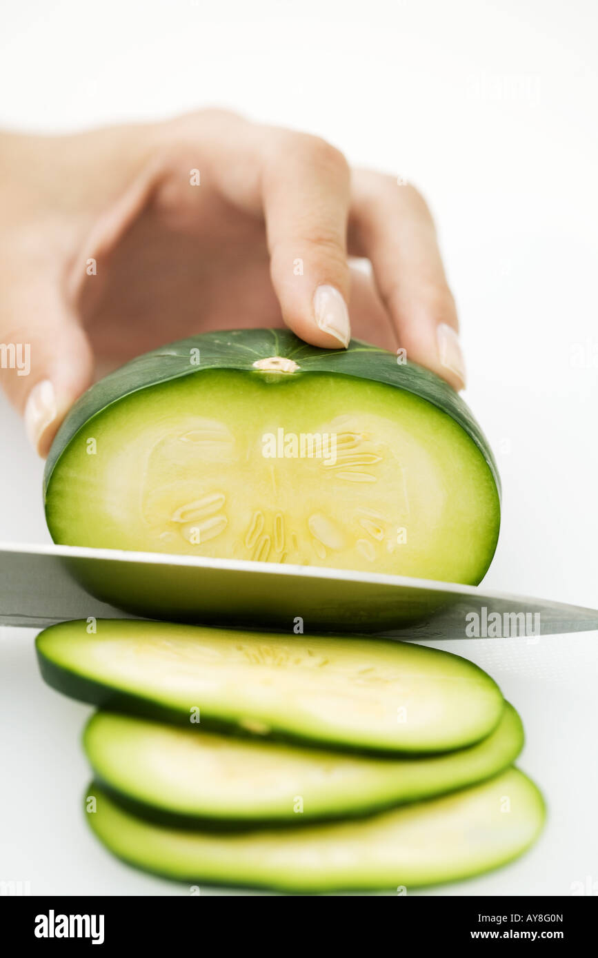 Zapallito