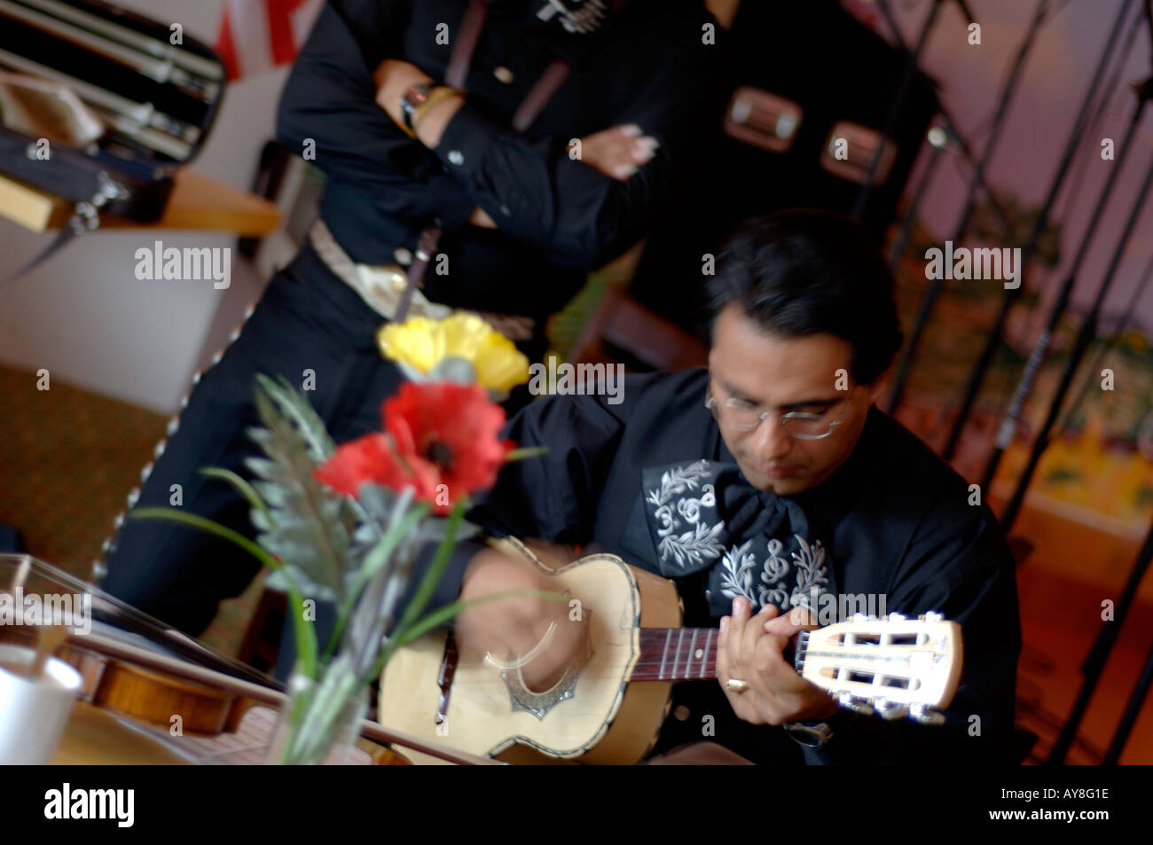 Musician playing charango at Mexican mariachi band Stock Photo - Alamy