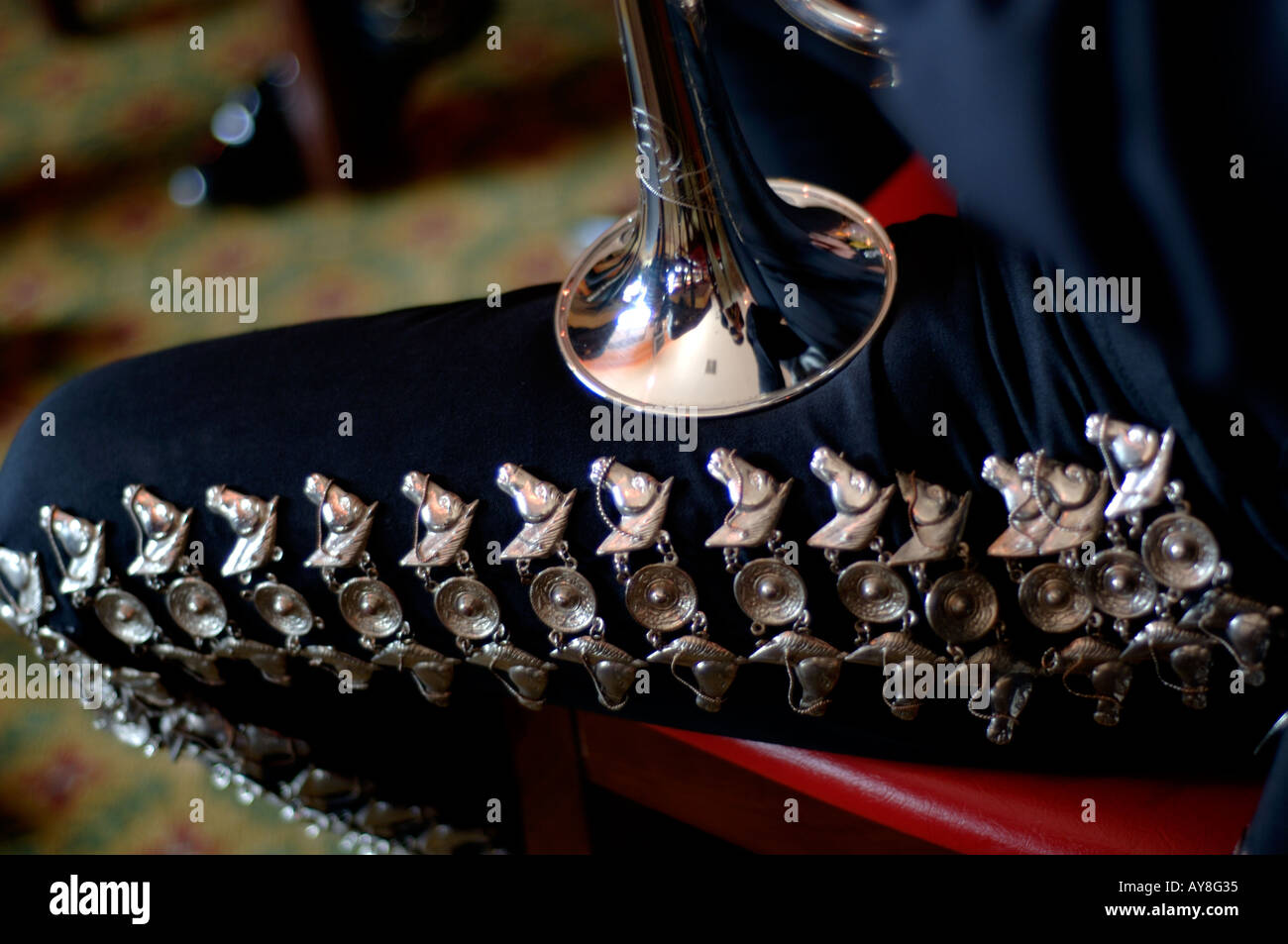 Musician playing trumpet at Mexican mariachi band Stock Photo - Alamy