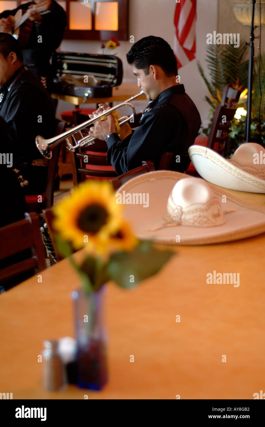 Musician playing trumpet at Mexican mariachi band Stock Photo - Alamy