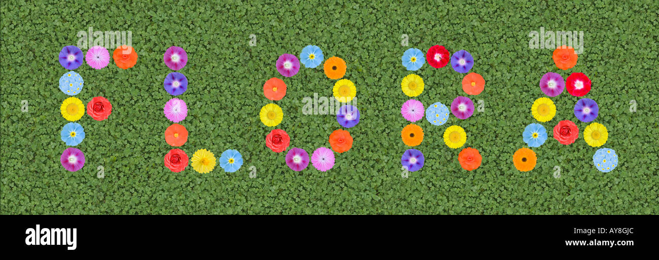 Word of flowers Cut Out Stock Images & Pictures - Alamy