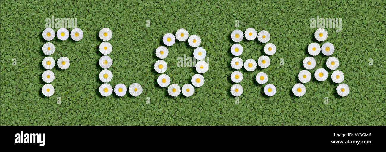Word of flowers Cut Out Stock Images & Pictures - Alamy