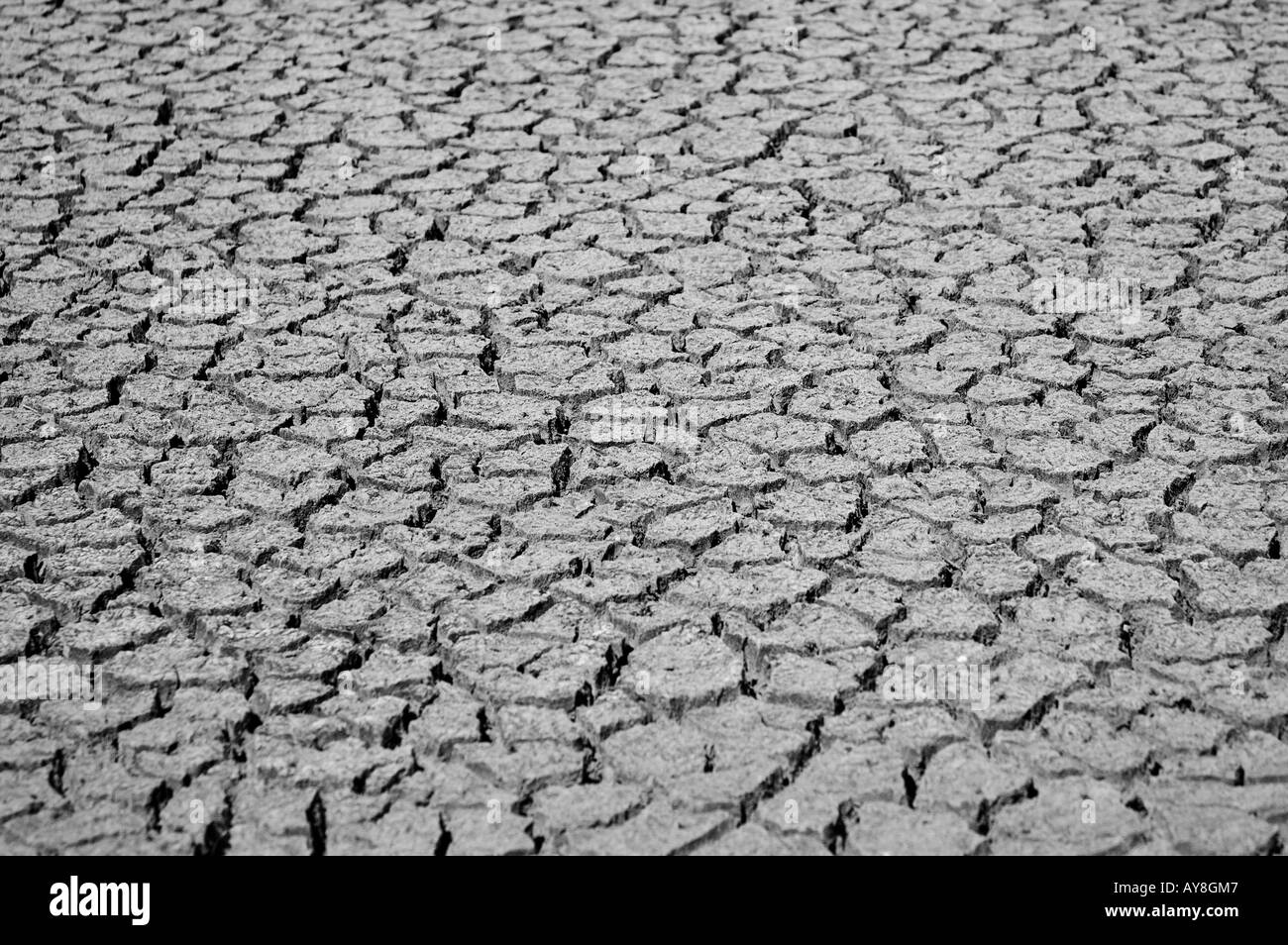 dried mud flats Stock Photo - Alamy