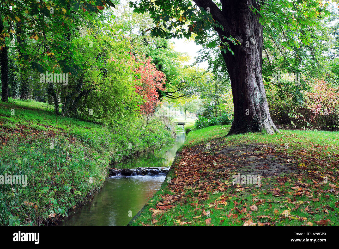 Autumn colours and a water fall Stock Photo - Alamy