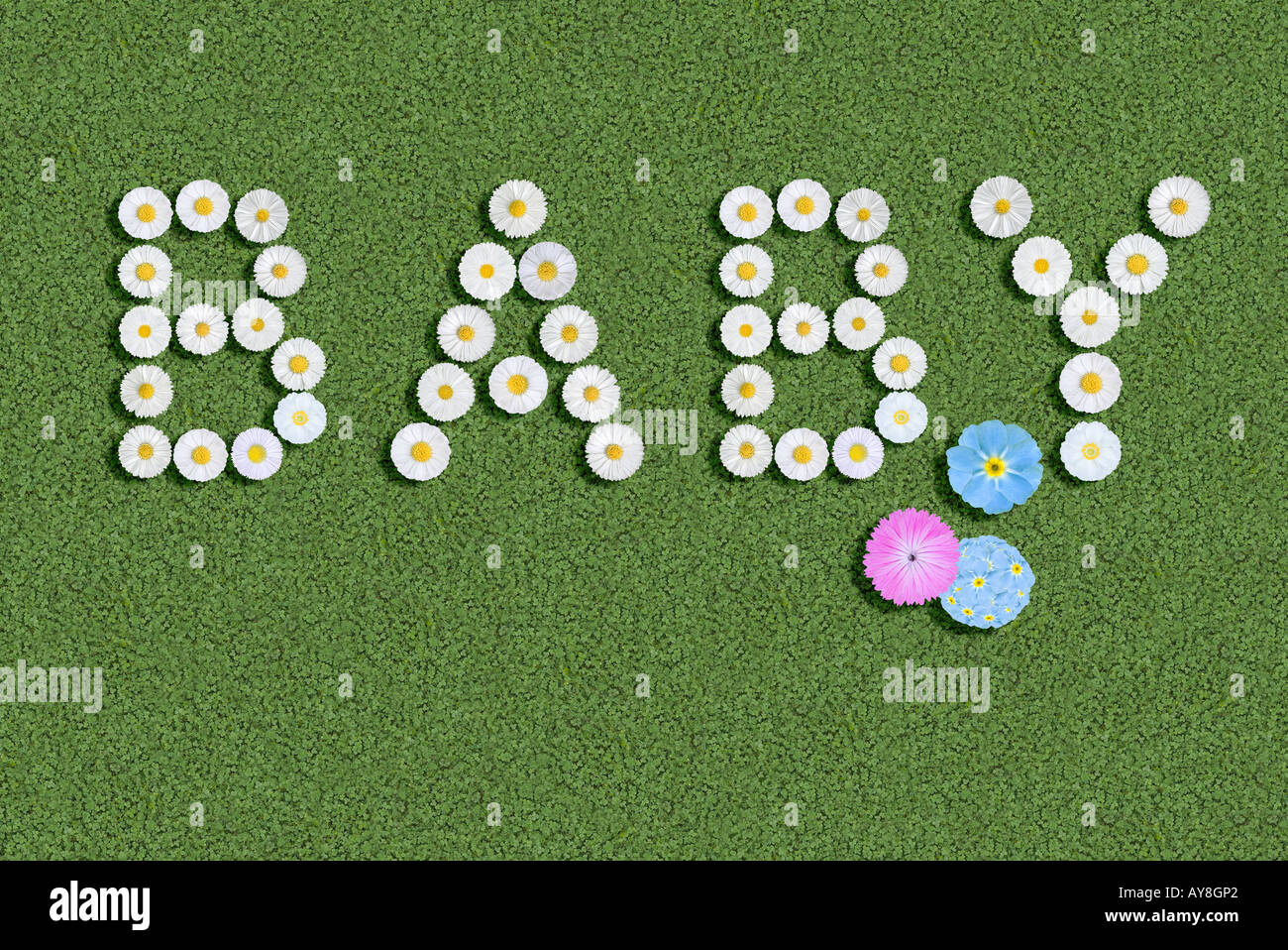 Birth of flowers hi-res stock photography and images - Alamy