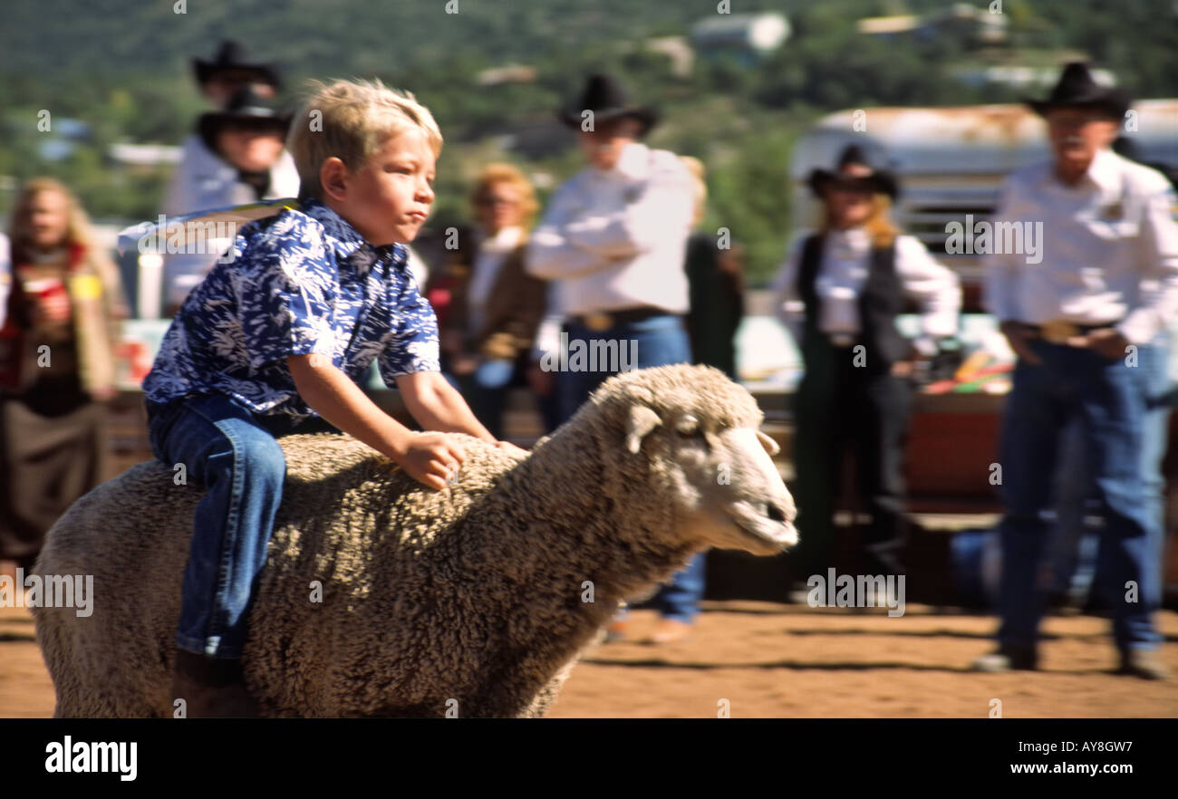 Taking a turn at the sheep-riding contest, at the Lincoln County Cowboy ...
