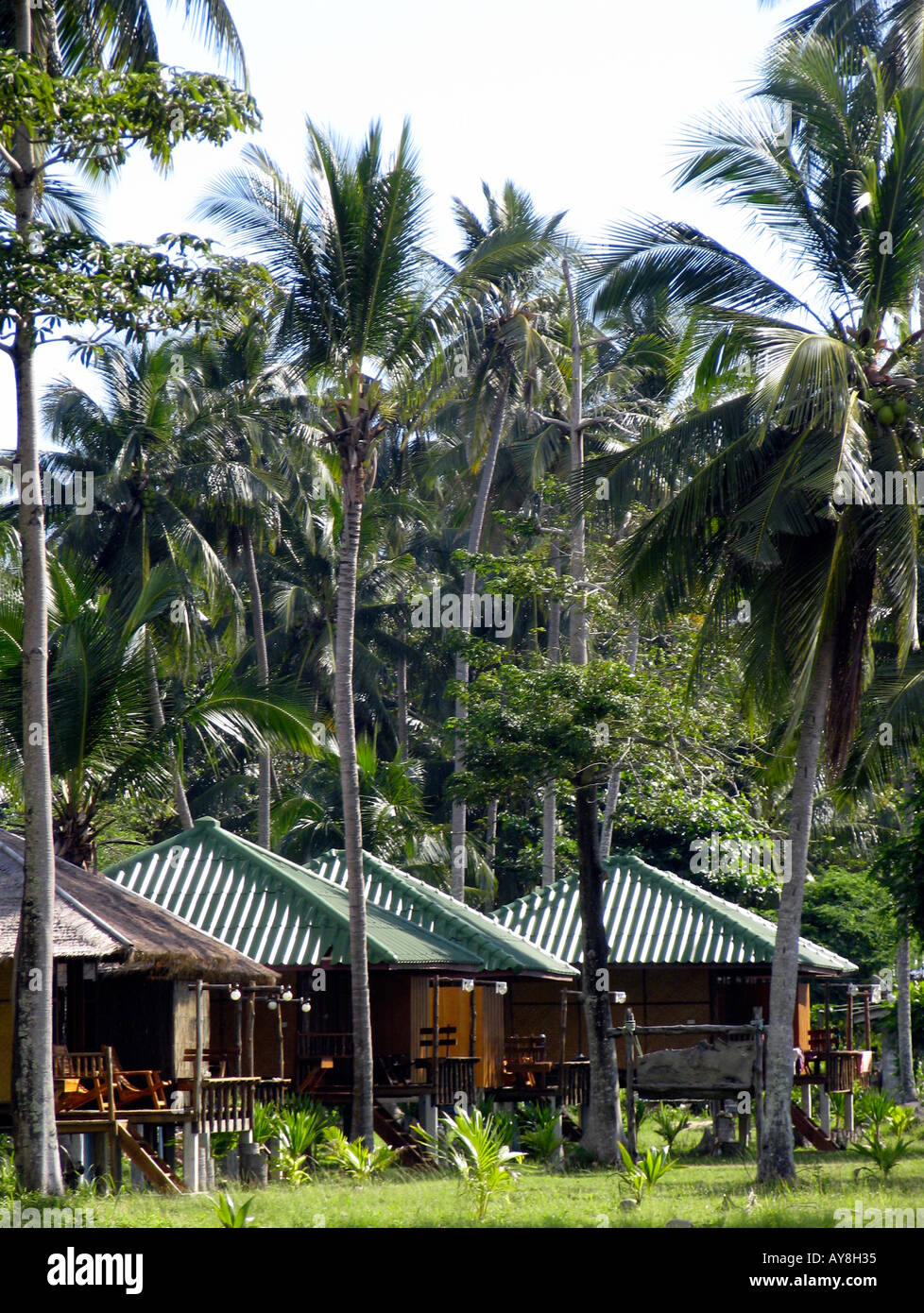 Bungalows on stilts among coconut palms Ko Libong Resort Ko Libong ...