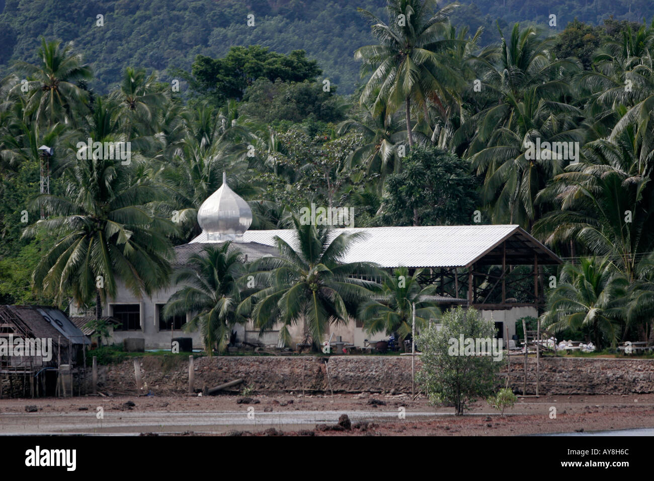 Mosque in palms at Ban Batu fishing village Ko Libong island Thailand ...