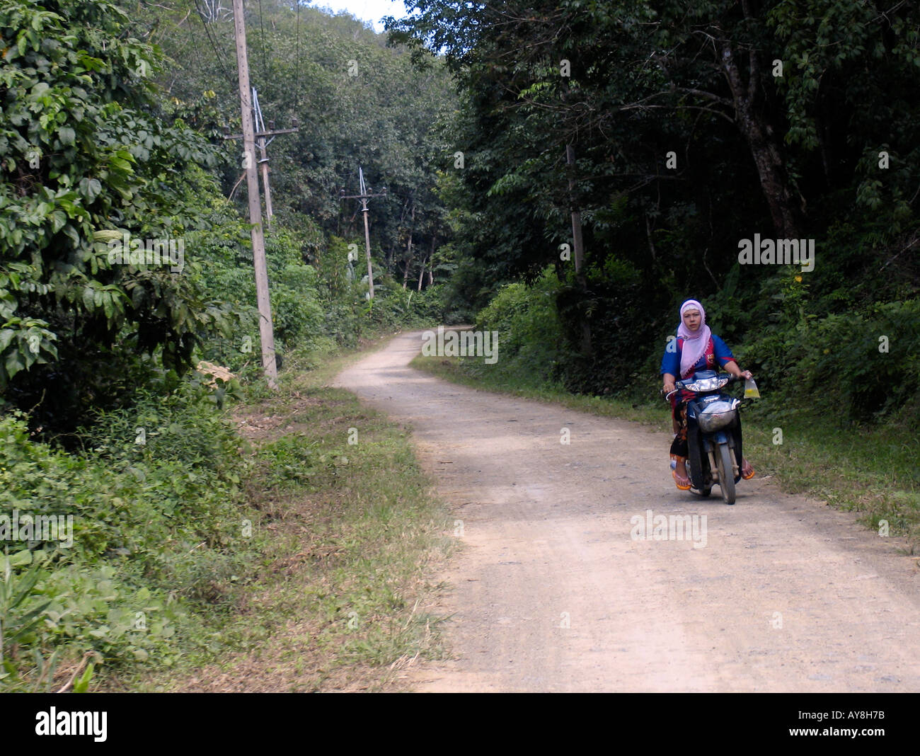 Unmade road track pathway hi-res stock photography and images - Alamy