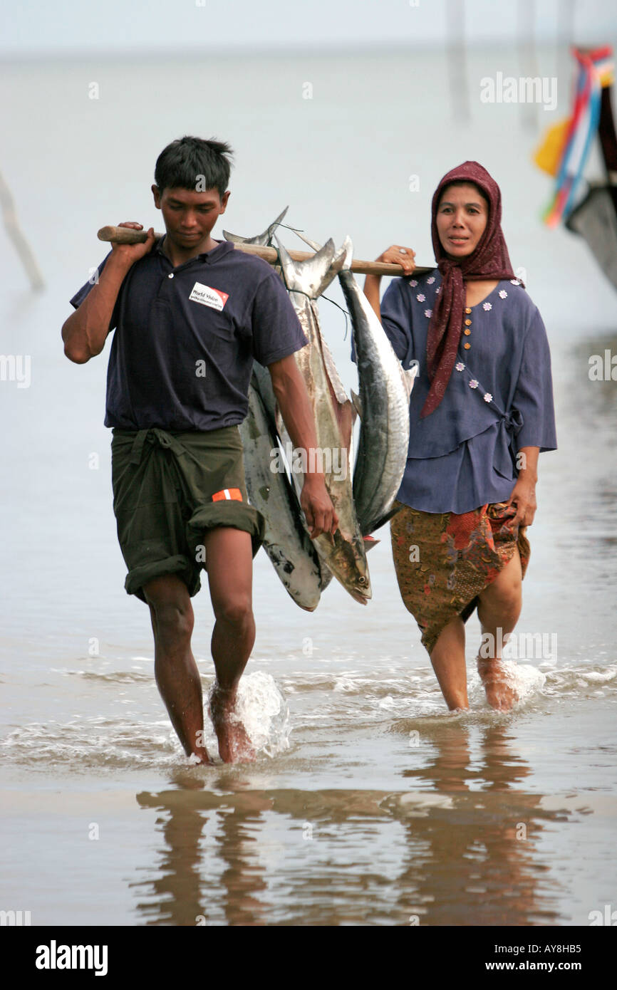 Mackerel caught beach fishing hi-res stock photography and images - Alamy