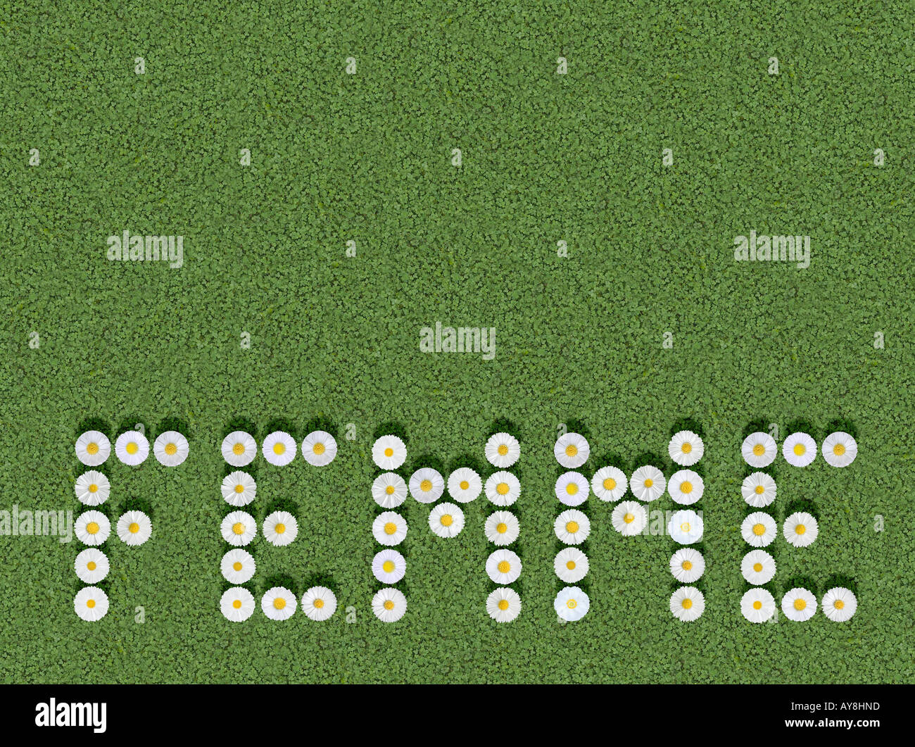 woman in french language la femme written with flowers on clover meadow ...
