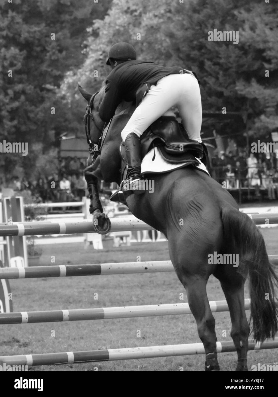 horse and rider jumping over obstacle during equestrian competition ...