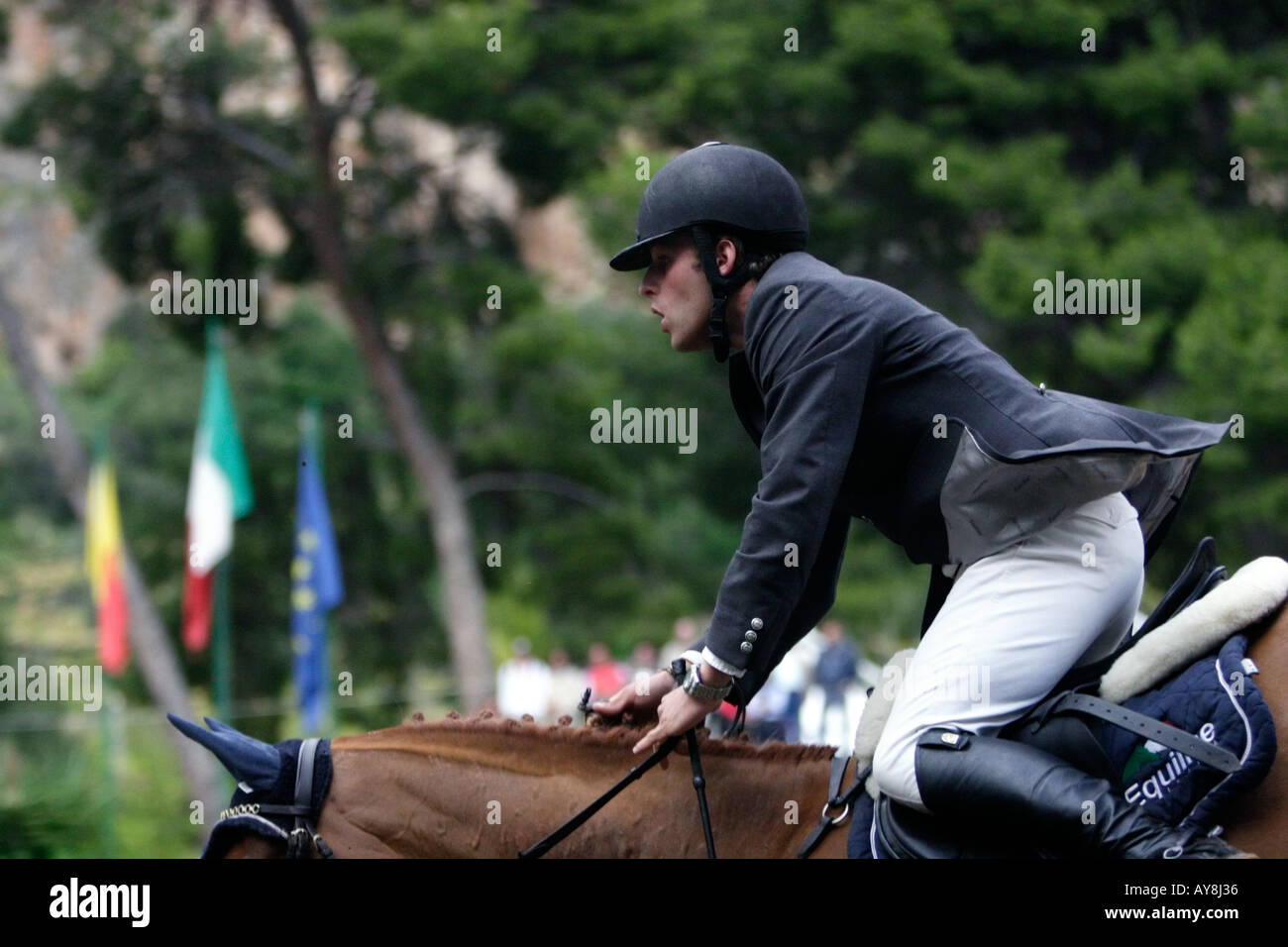 equestrian during horse jumping competition Stock Photo - Alamy