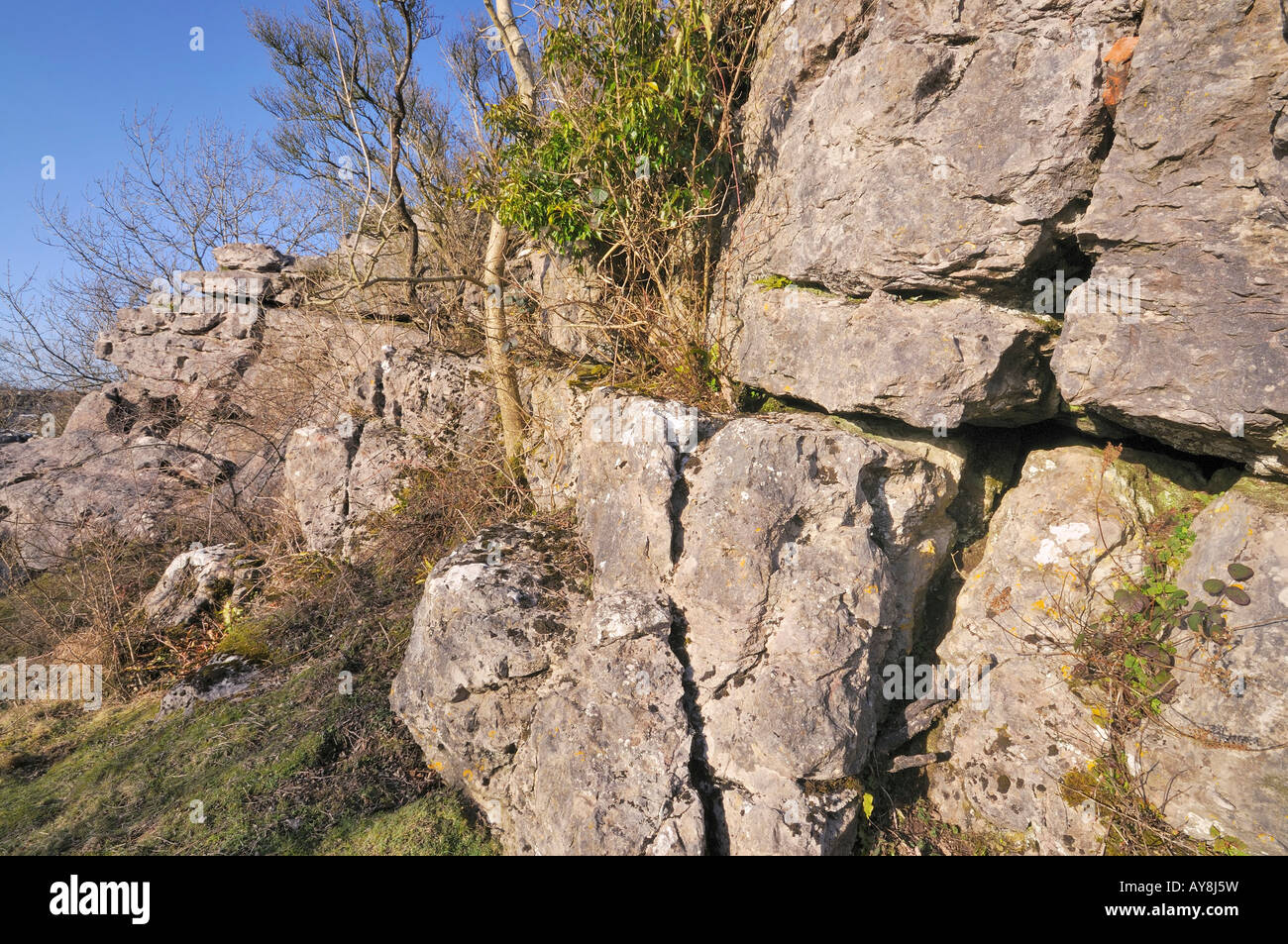Ubley Warren Nature Reserve High Resolution Stock Photography and ...