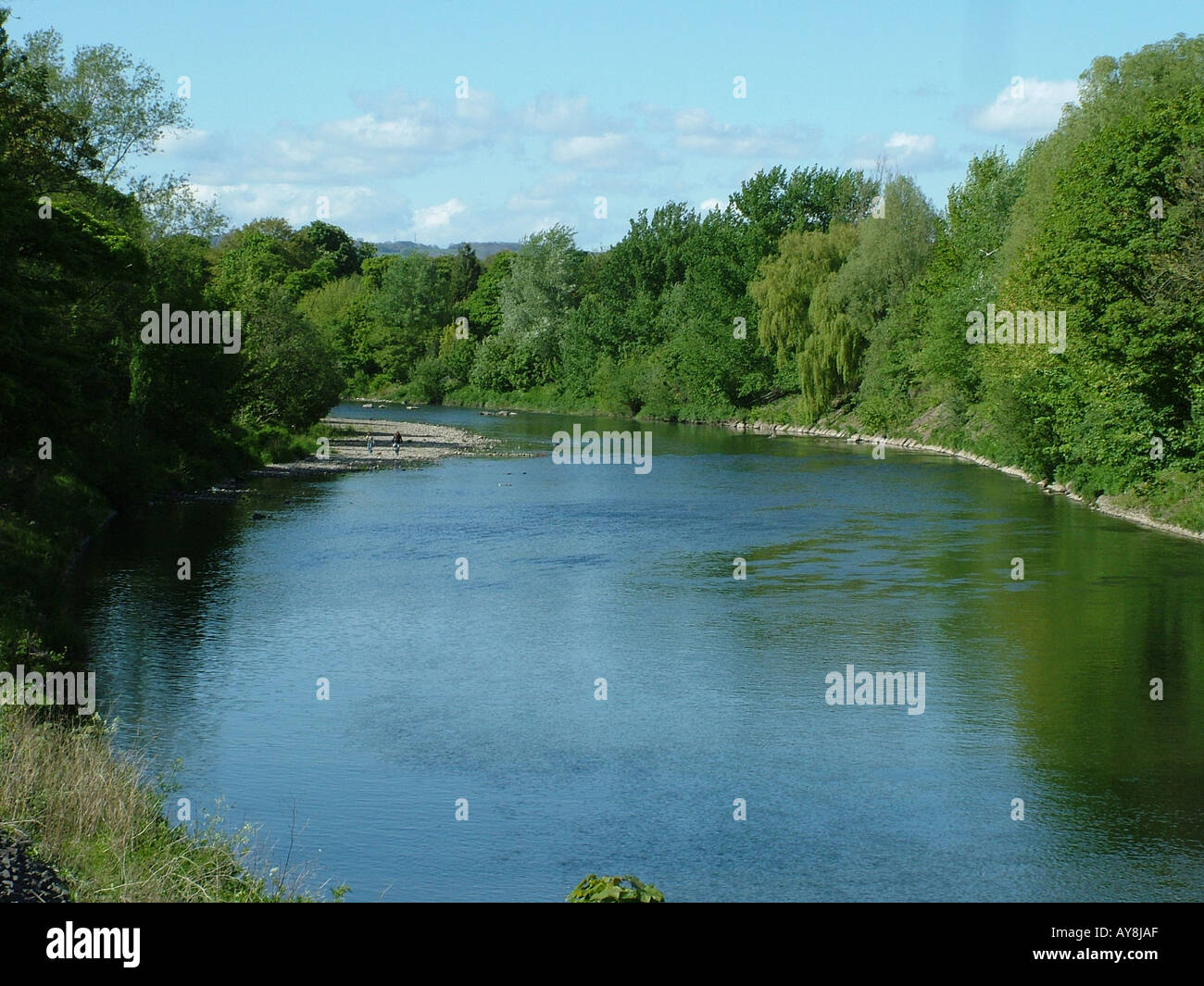 River Taff, Bute Park, Cardiff Town Centre, South Wales Stock Photo - Alamy