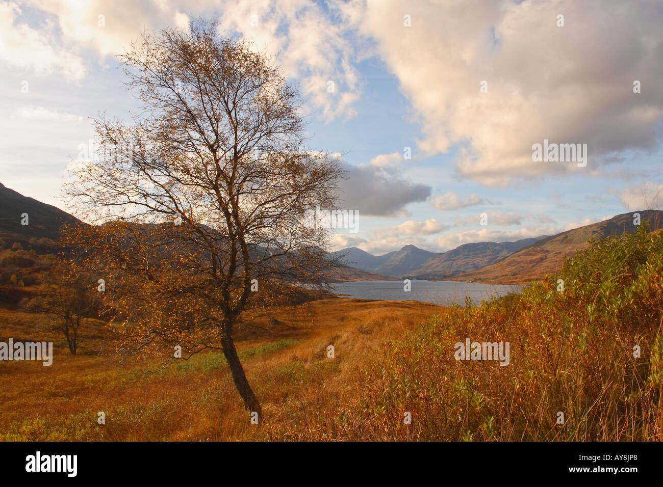 Loch Arklet towards the Arrocher Alps in the Trossachs Scotland Stock ...