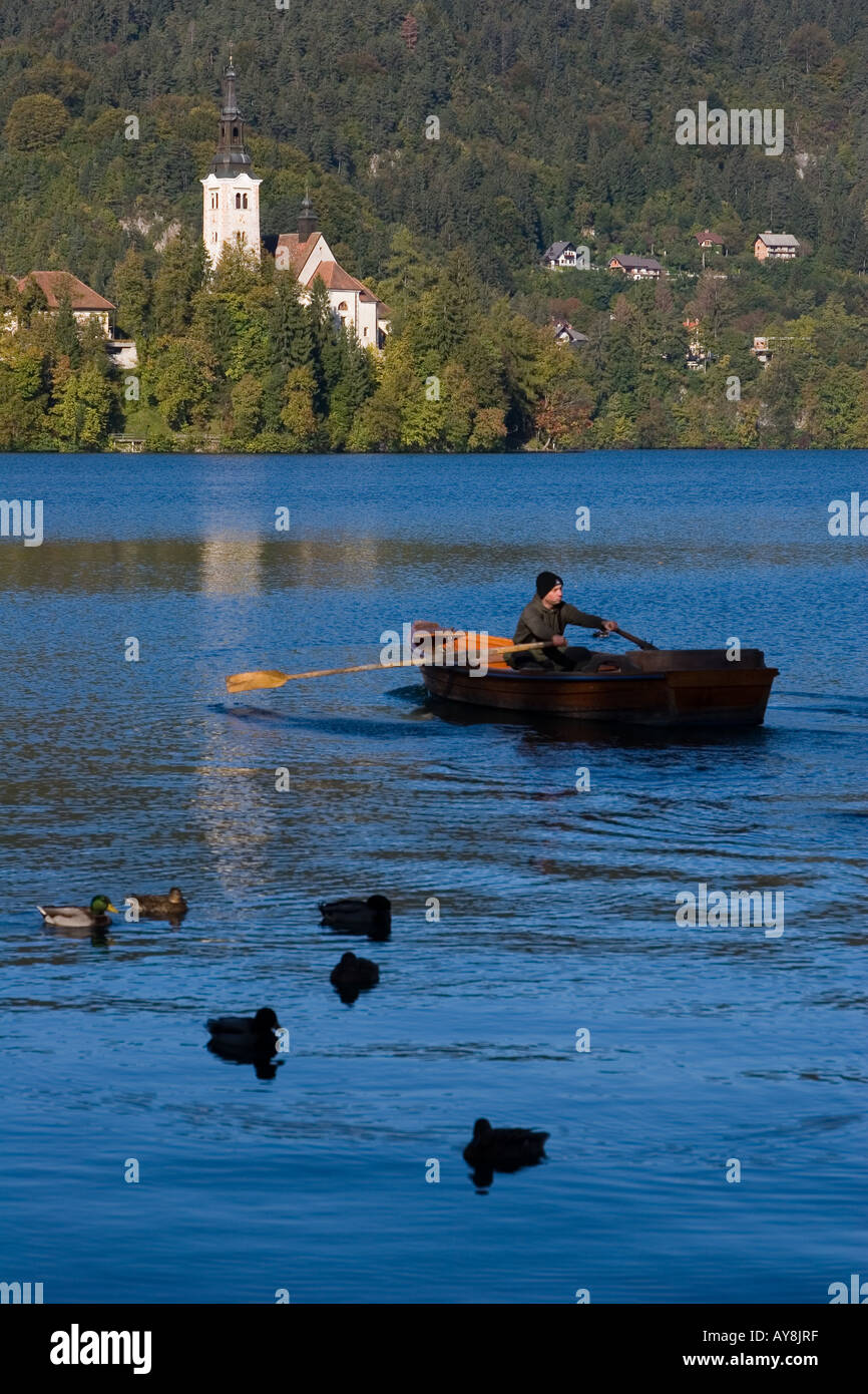 Stock Photo of a Rower in a Row Boat on The Lake in Bled Slovenia Stock ...