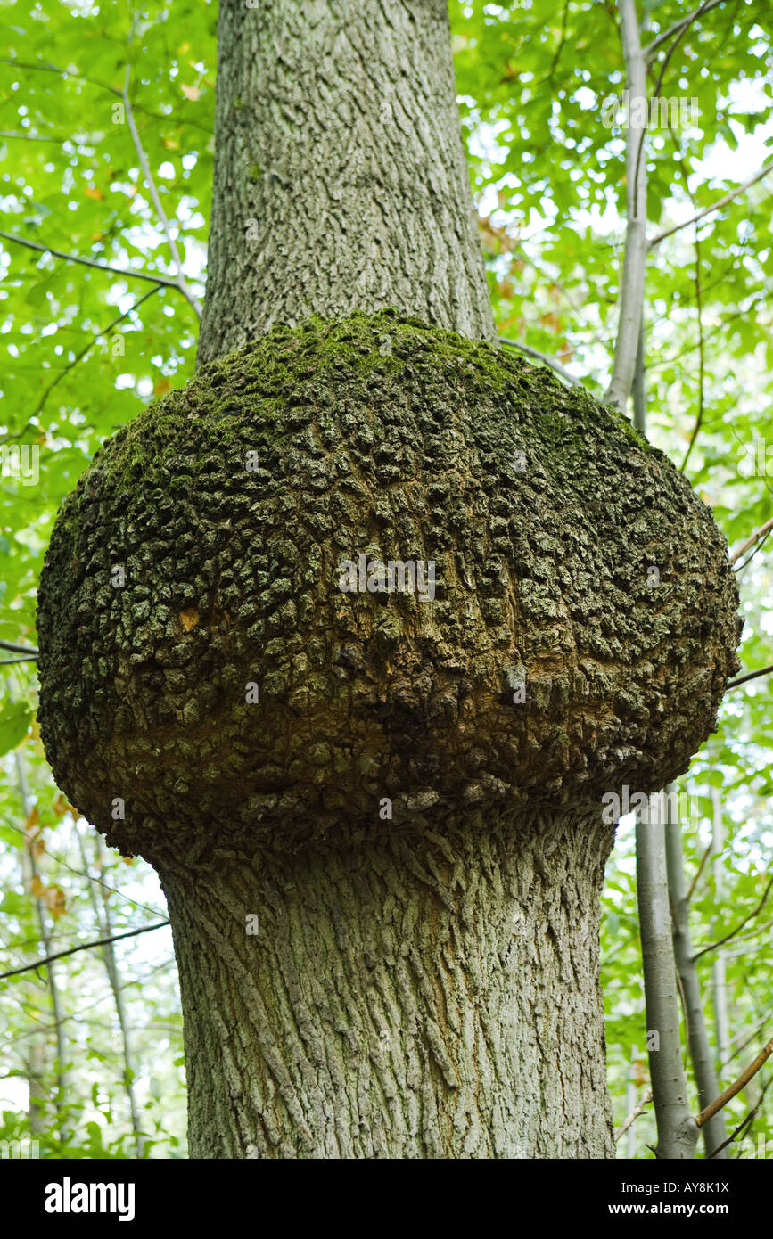 Differences in texture hi-res stock photography and images - Alamy