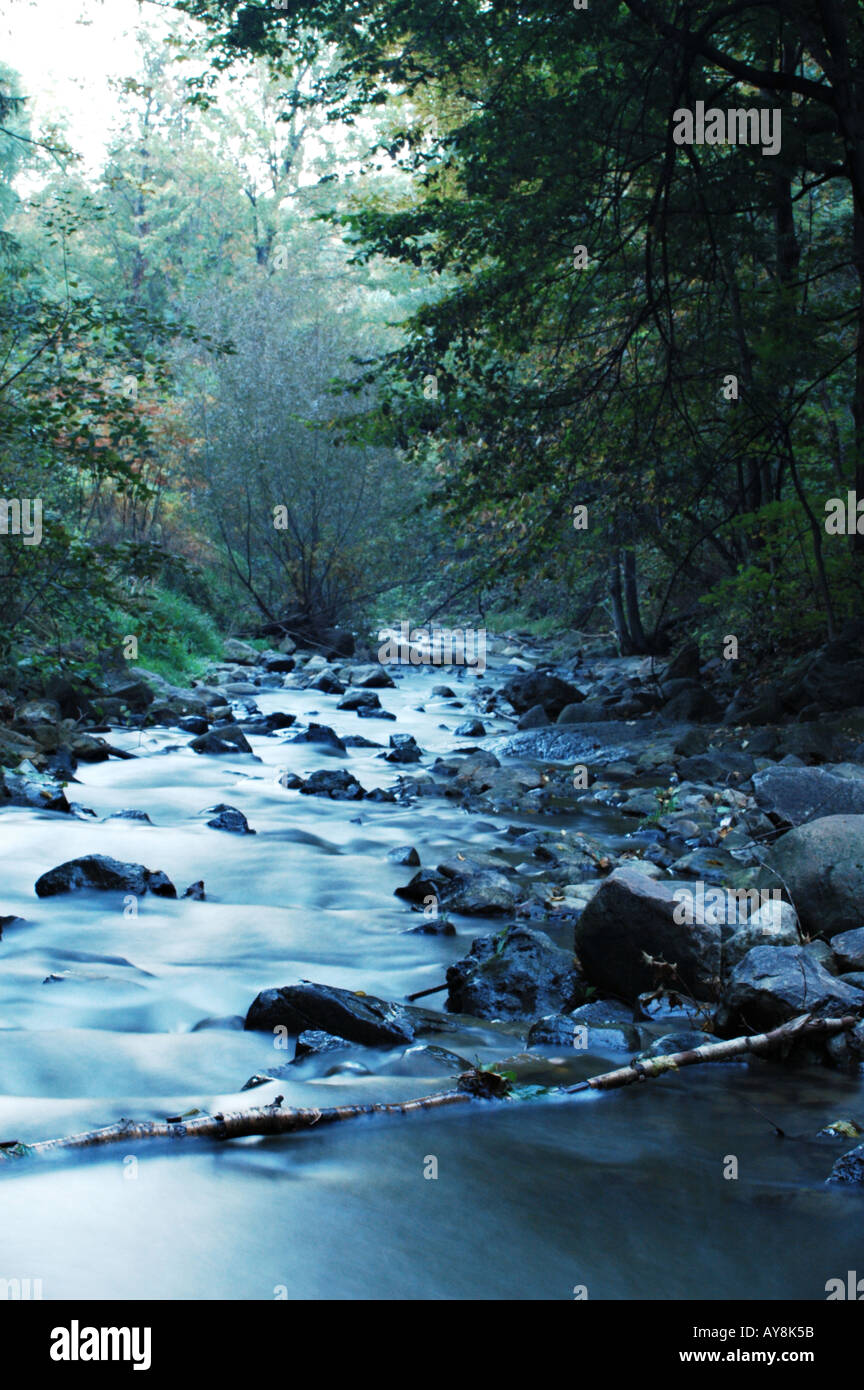 Little stream in the region of Oka, Quebec Stock Photo - Alamy