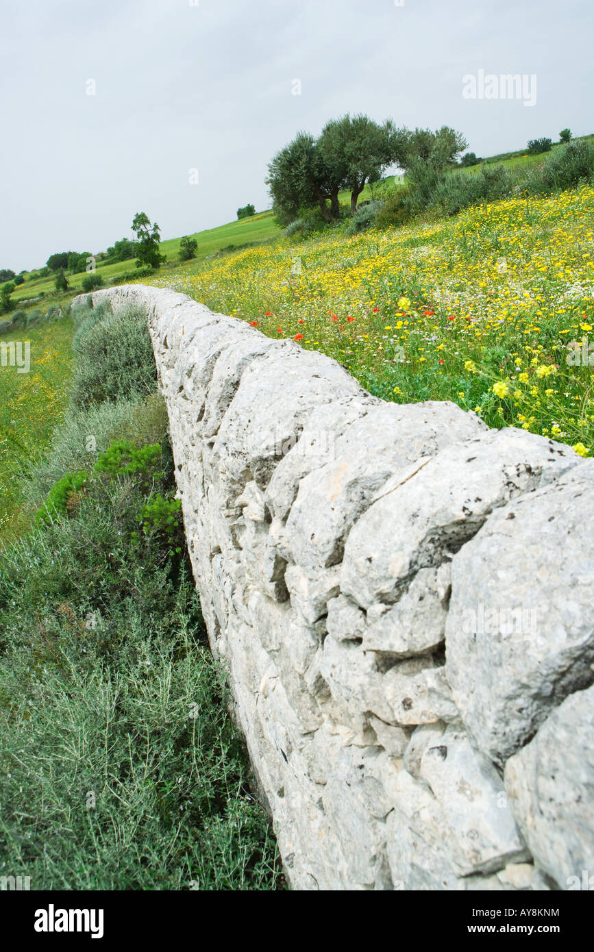 Low stone wall in Mediterranean landscape Stock Photo - Alamy