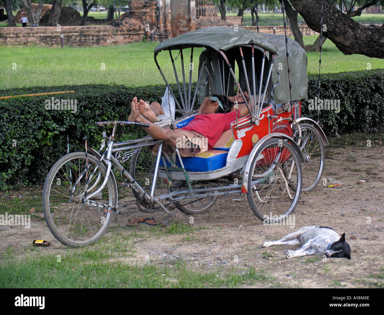 Sleeping dog and sleeping tricycle rickshaw driver Ayutthaya Thailand ...