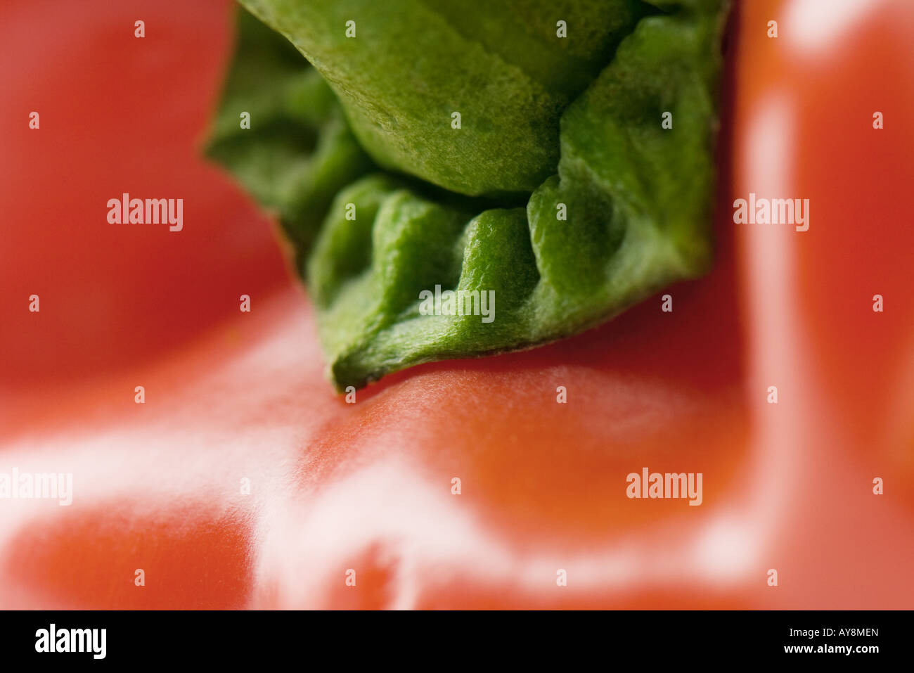Bell pepper close ups hi-res stock photography and images - Alamy