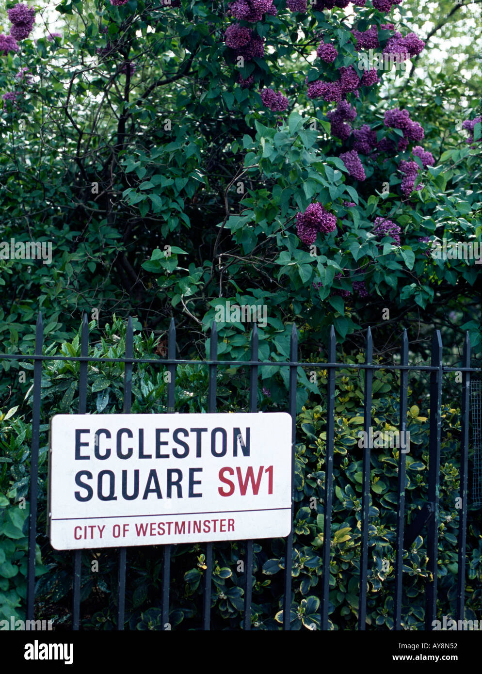 Eccleston square hi-res stock photography and images - Alamy