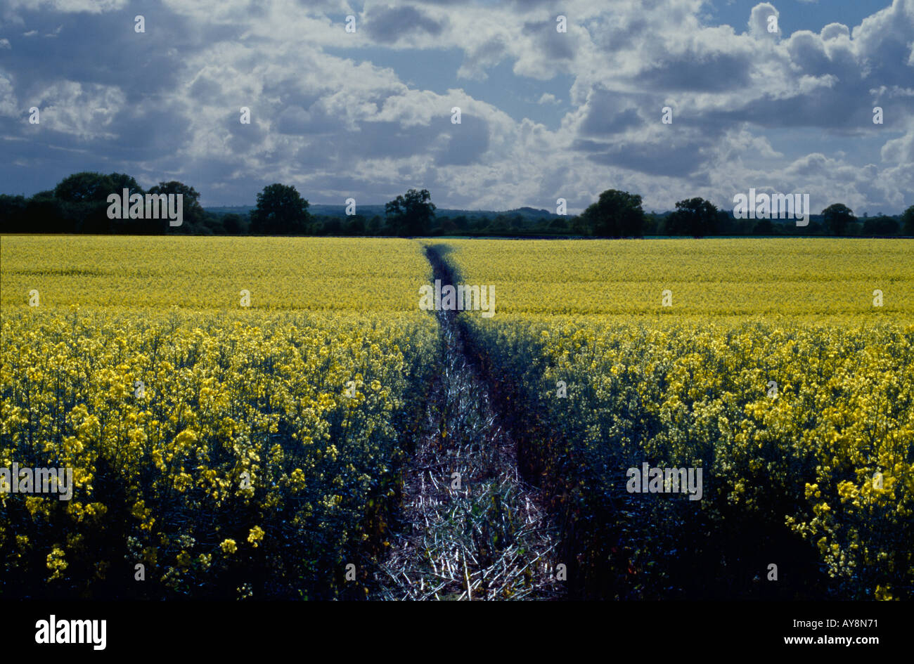 Split tunneling hi-res stock photography and images - Alamy