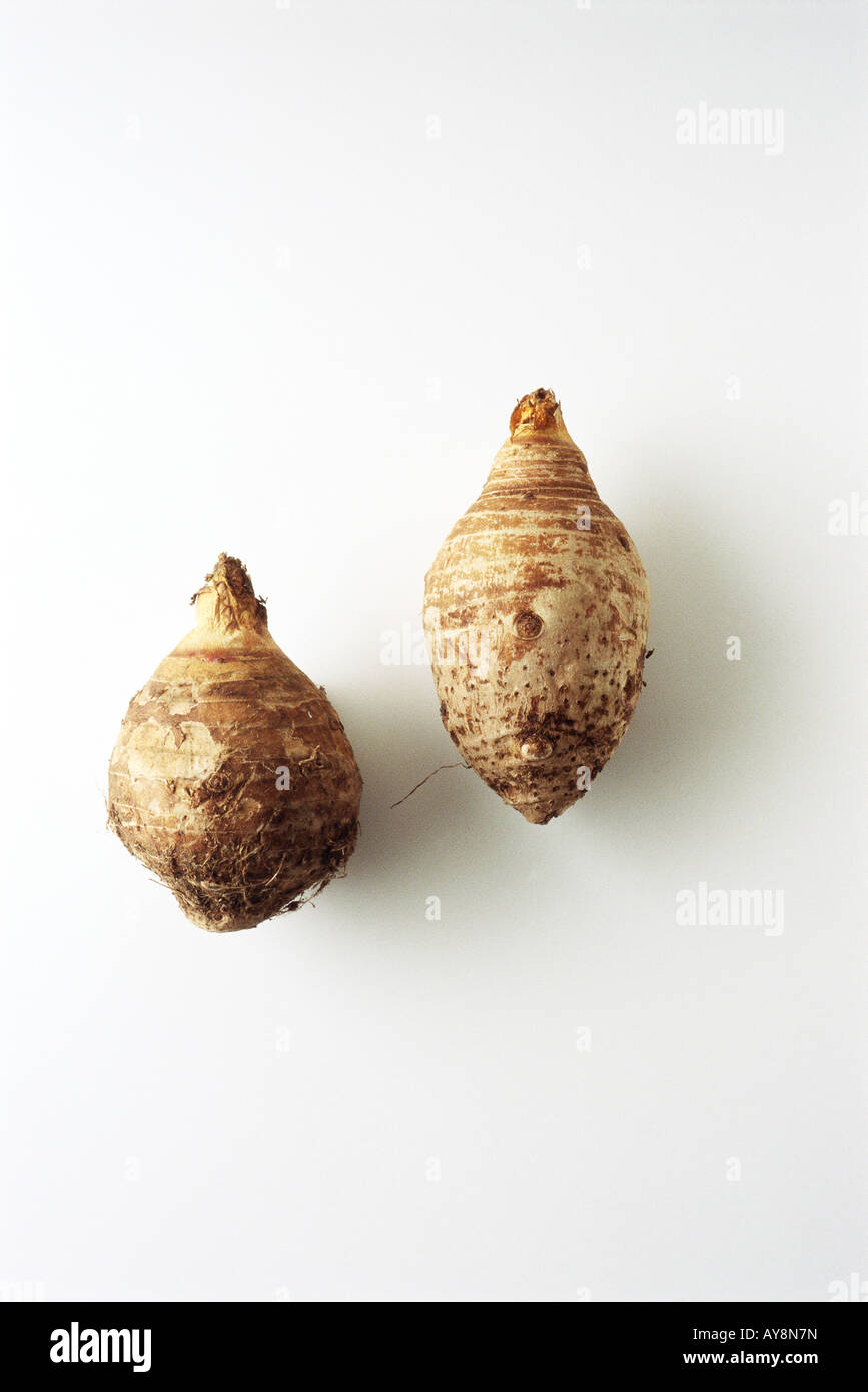 Two sunchokes, white background Stock Photo - Alamy