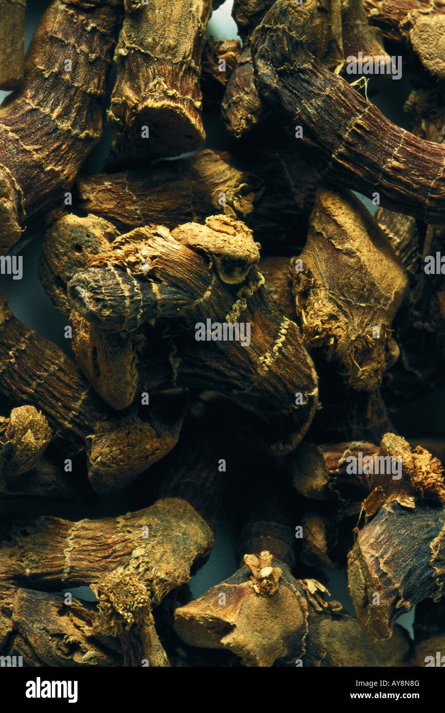 Ginseng roots, extreme close-up, full frame Stock Photo - Alamy