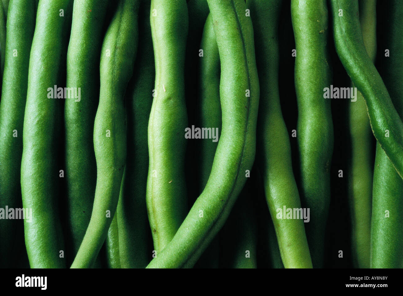 Partial view of green beans hi-res stock photography and images - Alamy