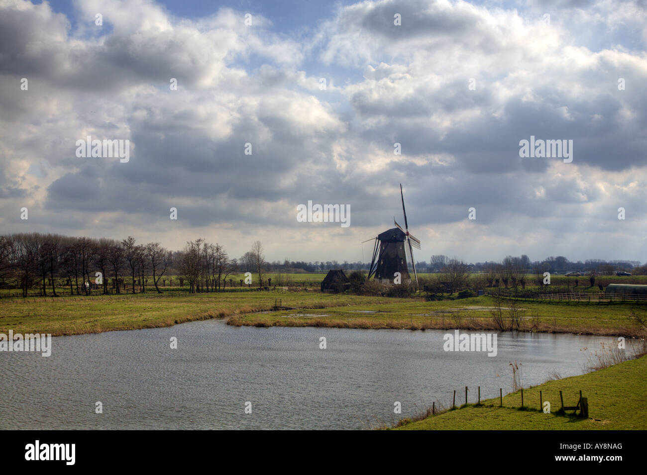 Dutch landscape pool grass hi-res stock photography and images - Alamy