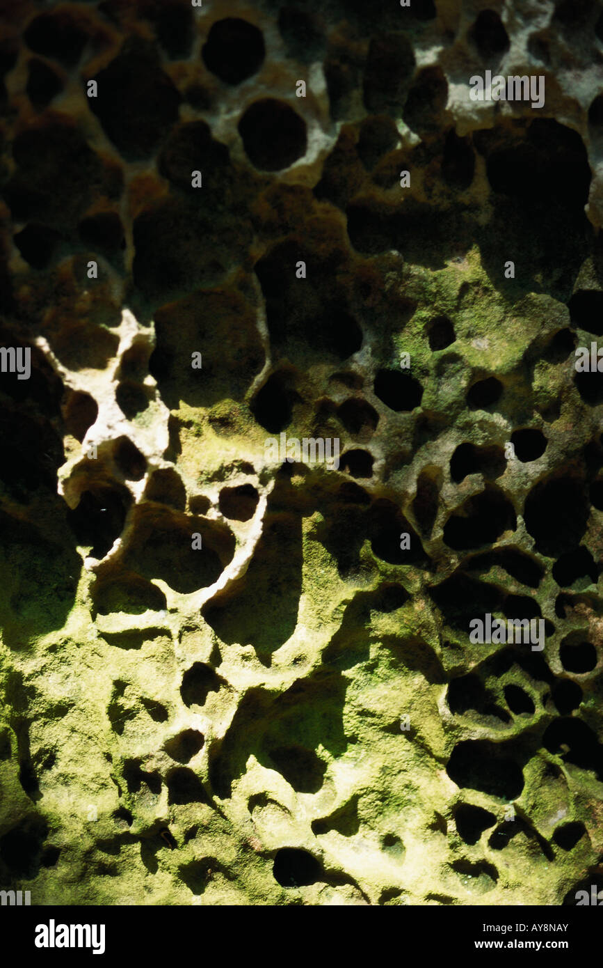 Porous rock, close-up, full frame Stock Photo - Alamy