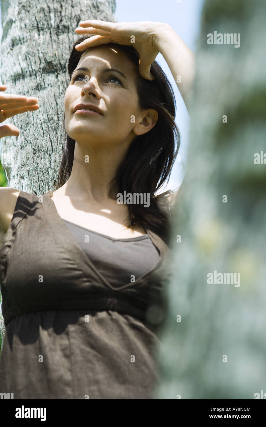 Woman leaning against tree trunk, shading eyes, looking up Stock Photo ...