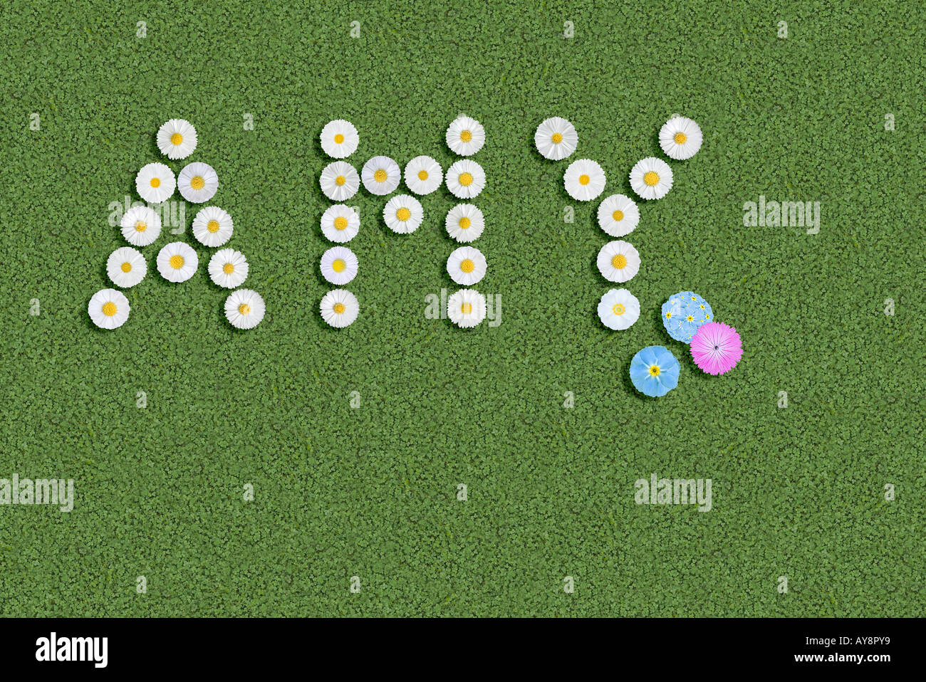 Amy Spelled Out Stock Photo Alamy amy-spelled-out-stock-photo-alamy