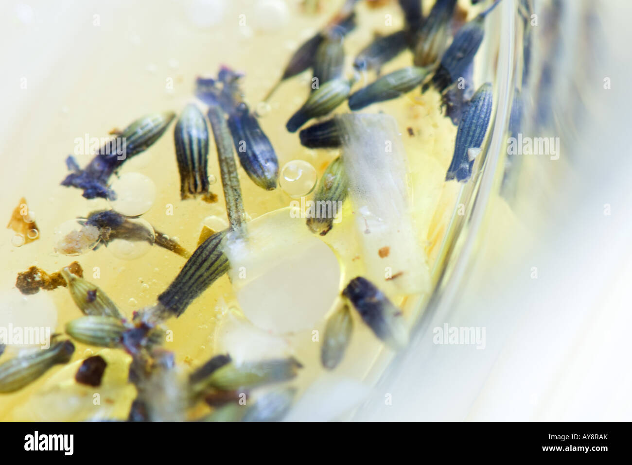 Lavender buds floating in liquid, close-up Stock Photo - Alamy