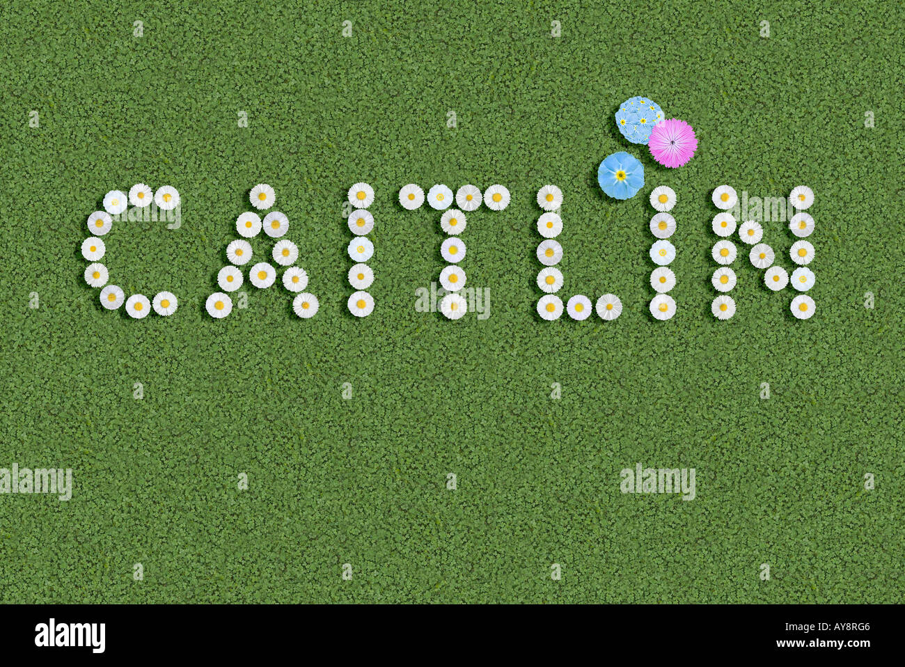Caitlin spelled out Stock Photo - Alamy