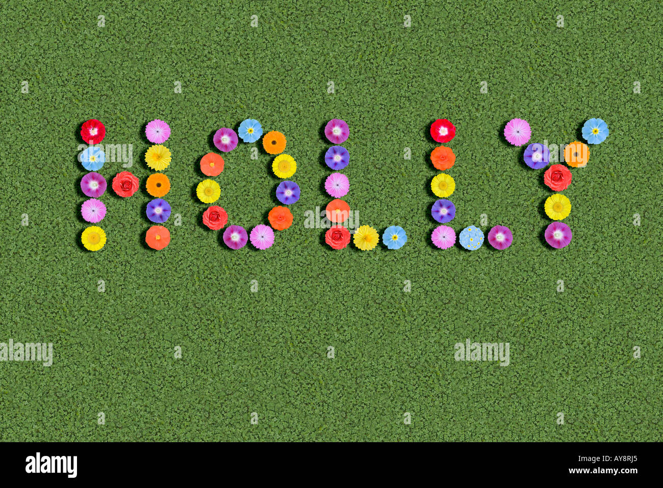 first name girl written illustration Holly Stock Photo - Alamy