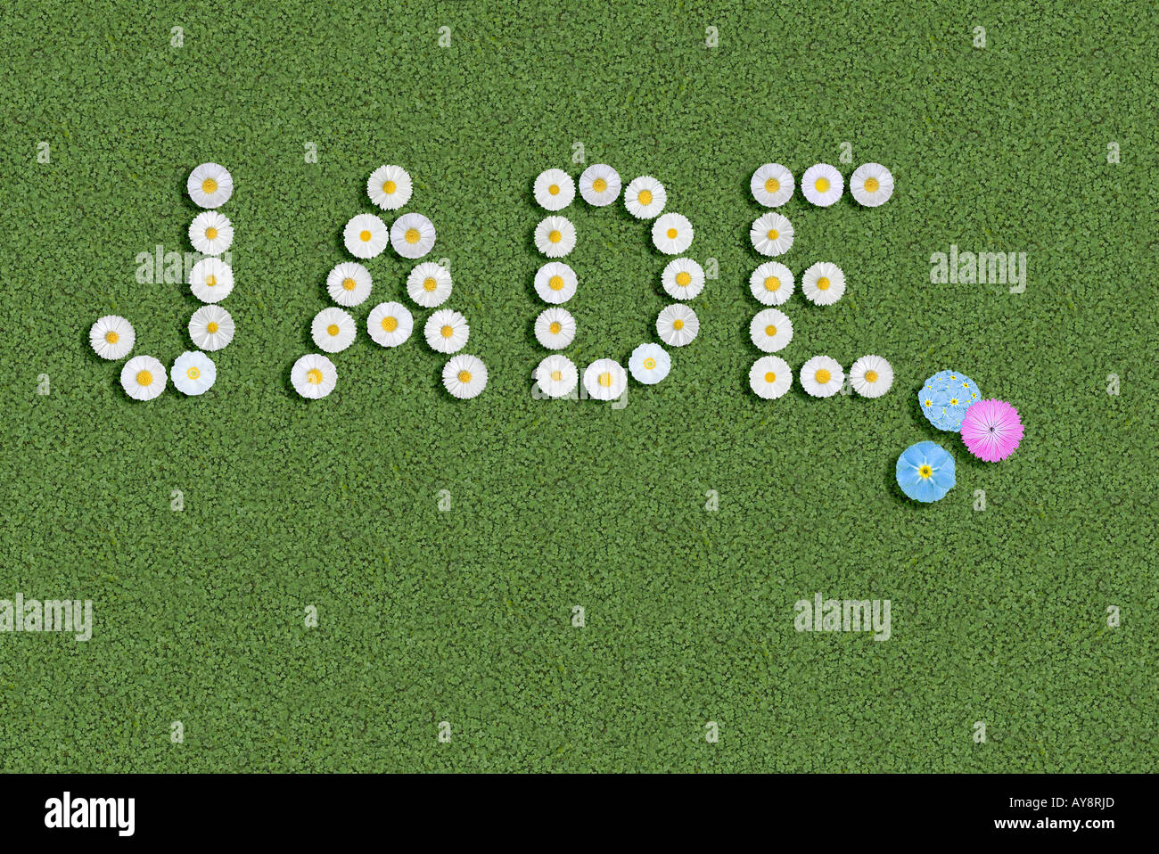 Baby jade hi-res stock photography and images - Alamy