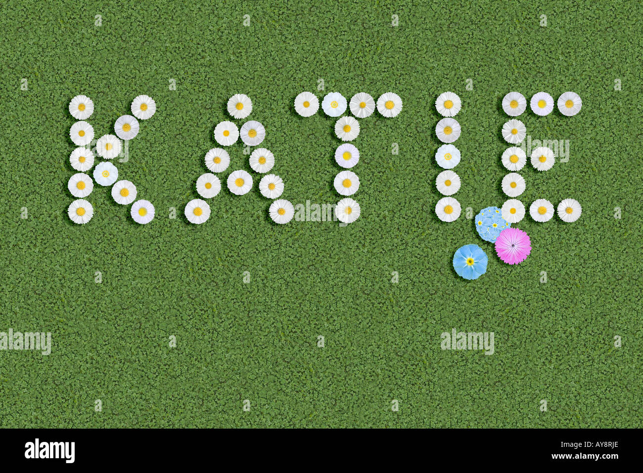 Katie High Resolution Stock Photography and Images - Alamy